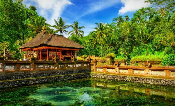 The 10 Best Bali (Benoa) Indonesia Cruise Excursions & Shore Trips