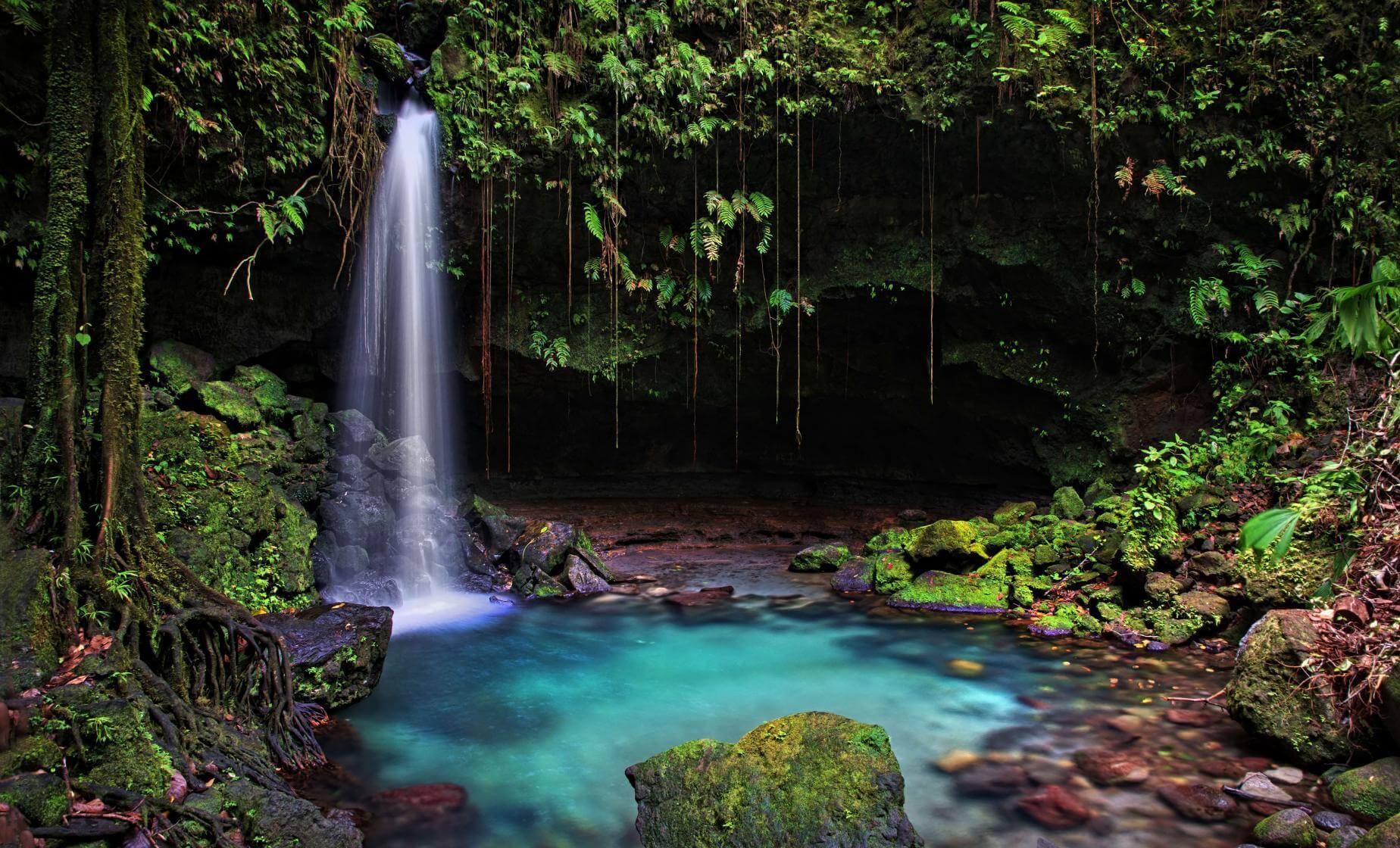 Tropical Dominica Waterfalls, Rainforest Walk, and Botanical Gardens