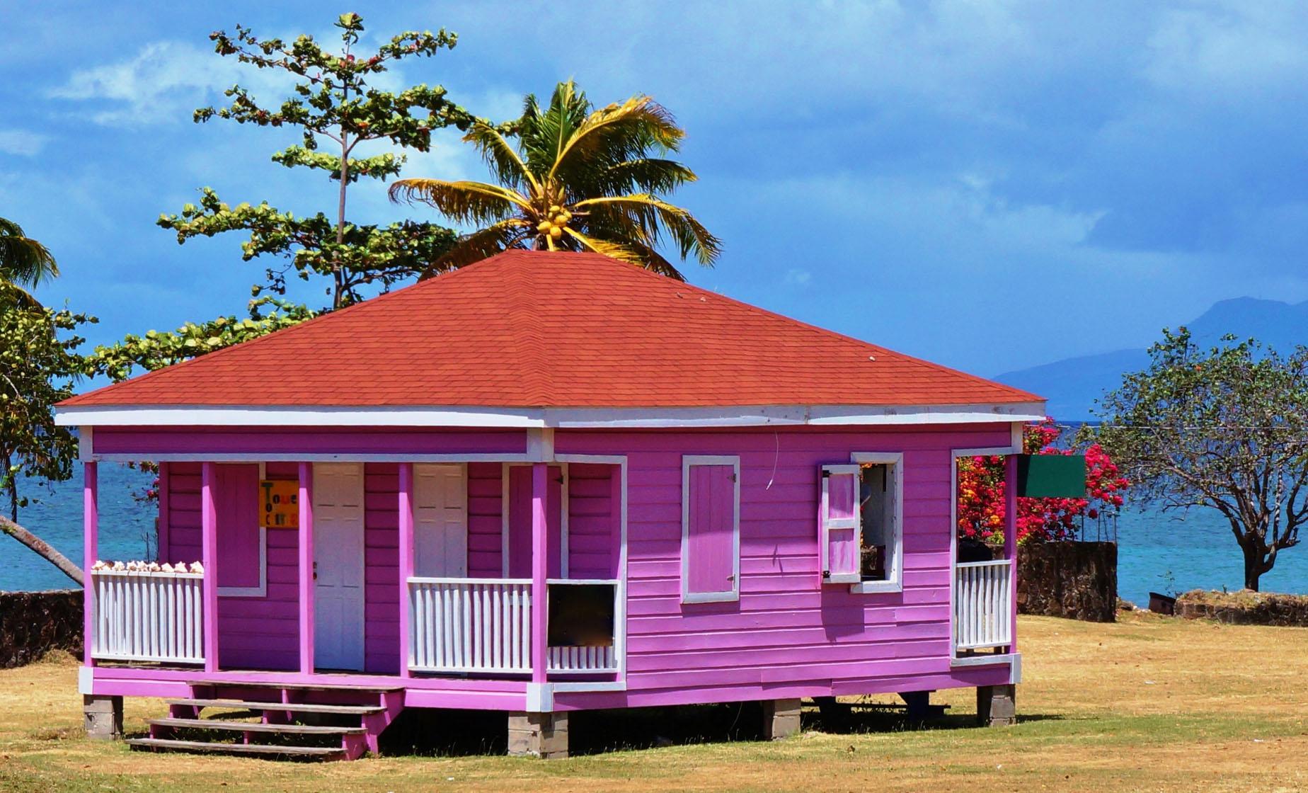 Discover Scenic St. Kitts Cruise Excursion | Visit Black Rocks, Romney ...