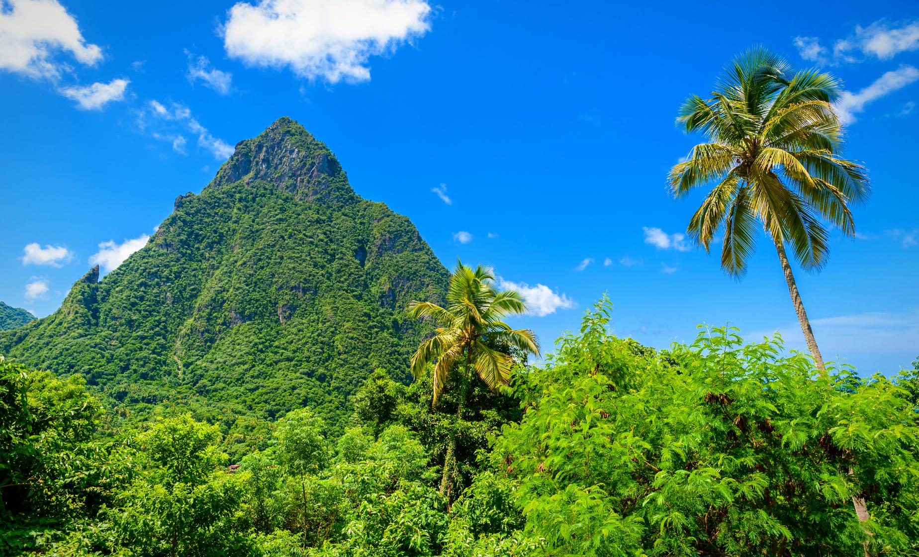 Majestic Piton Hike | St. Lucia Shore Excursions | Caribbean Cruise Tours