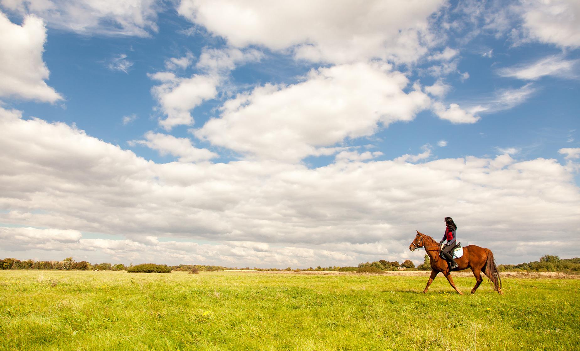 Horseback Trail Ride Cruise Excursion in Malta